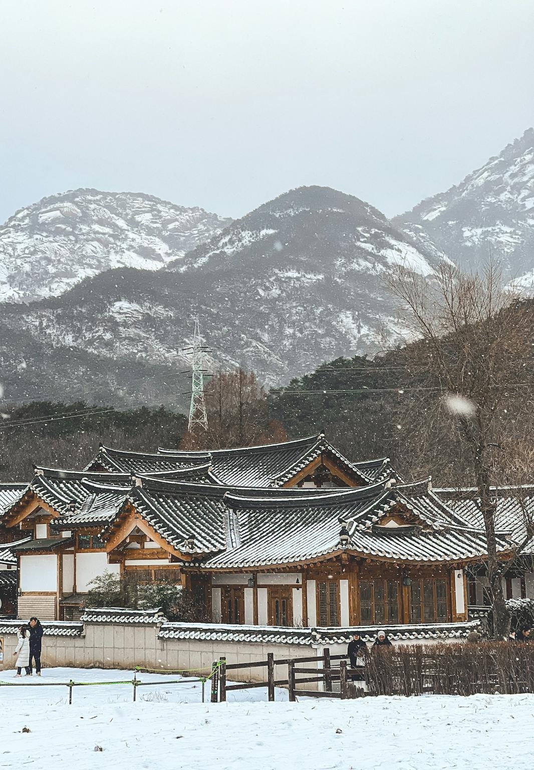 Architectural Timing: Designing for Weather, Light, and Seasonality